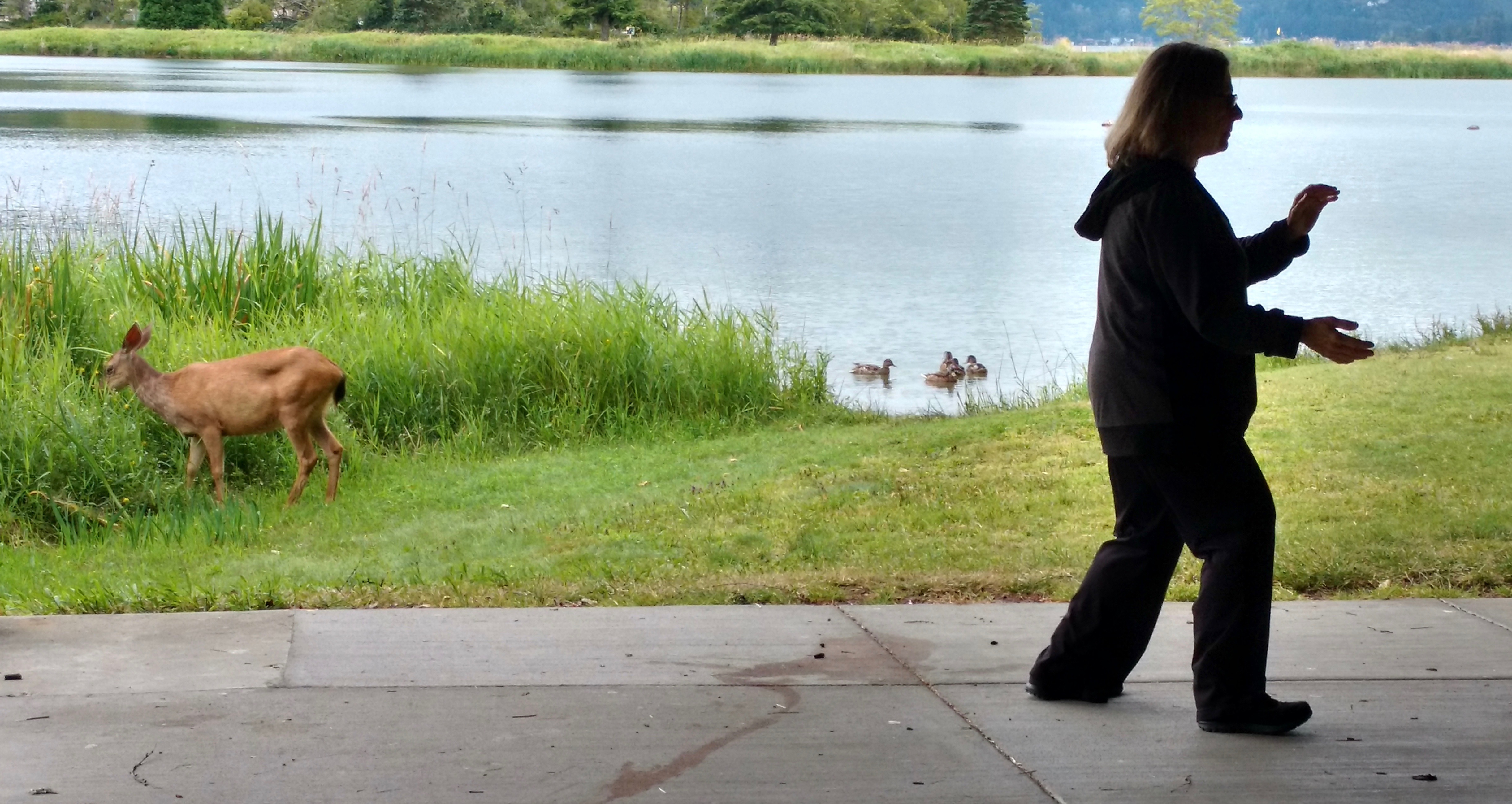 Photo Gallery – Tai Chi Practice